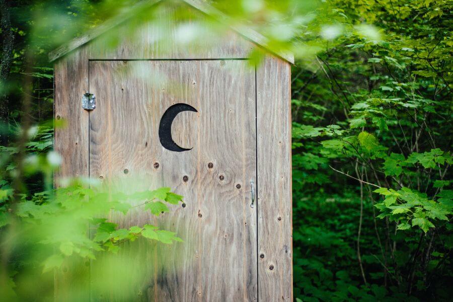 Moon Phase Gardening: A Guide to Planting by the Lunar Cycle | LUSH & DEW