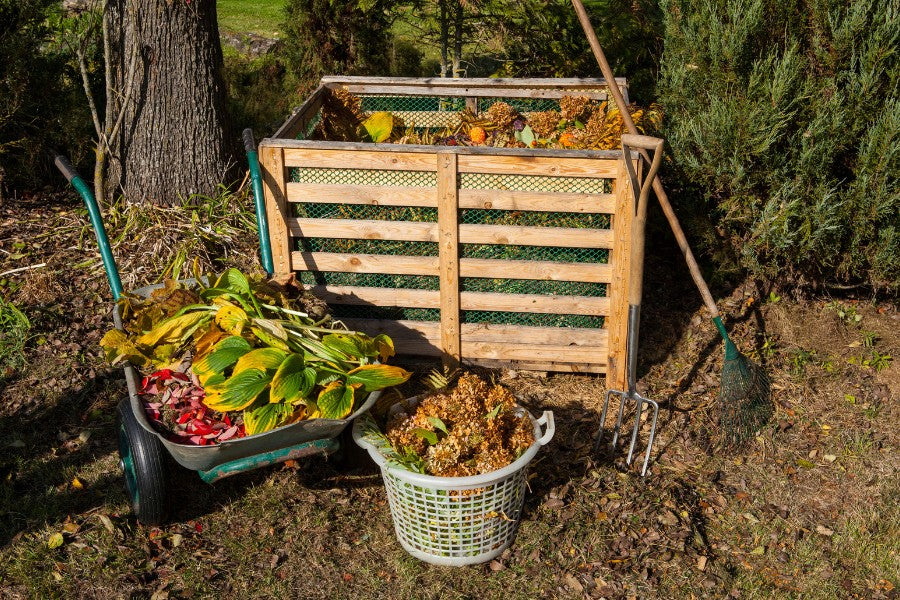 Fall Composting: What to Add and What to Avoid | LUSH & DEW