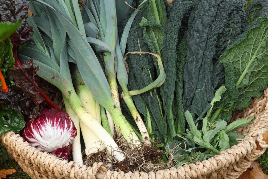 Top Fall Crops to Plant for a Winter Harvest | LUSH & DEW
