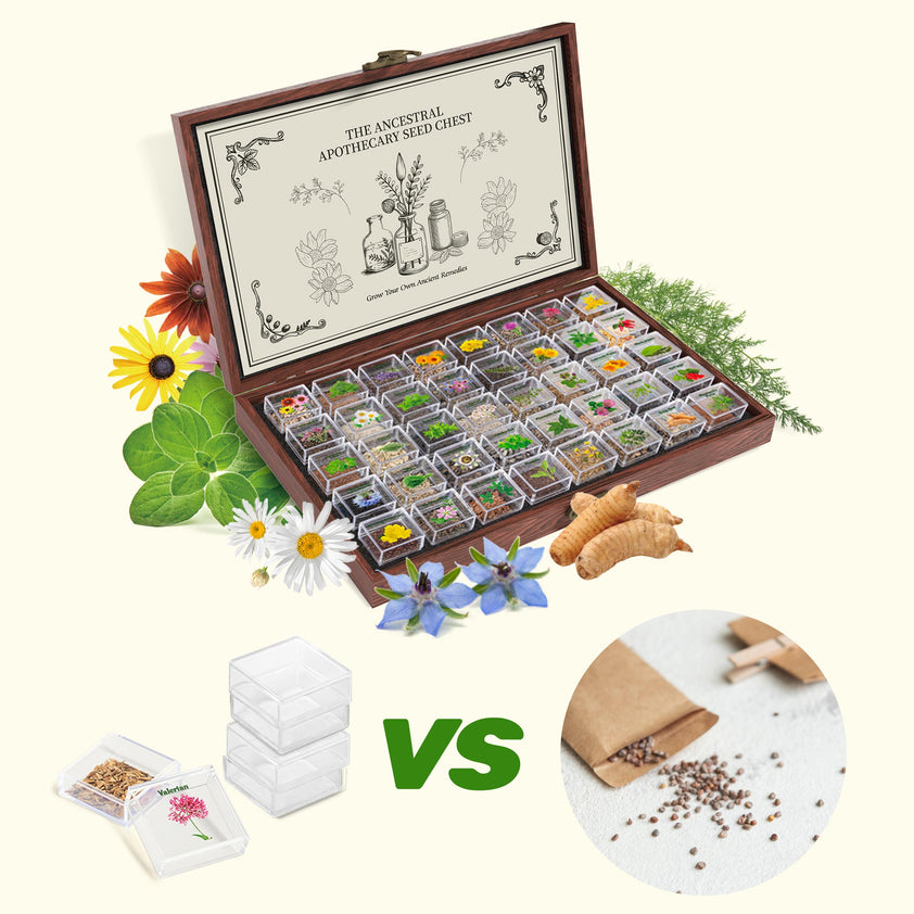 The Ancestral Apothecary Seed Chest - 40 Varieties of Medicinal Herb S ...