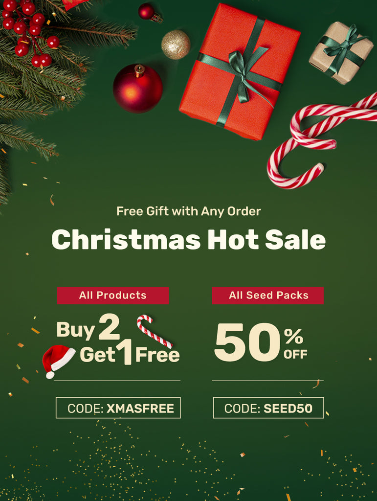 Shop Seed Banks – LUSH & DEW