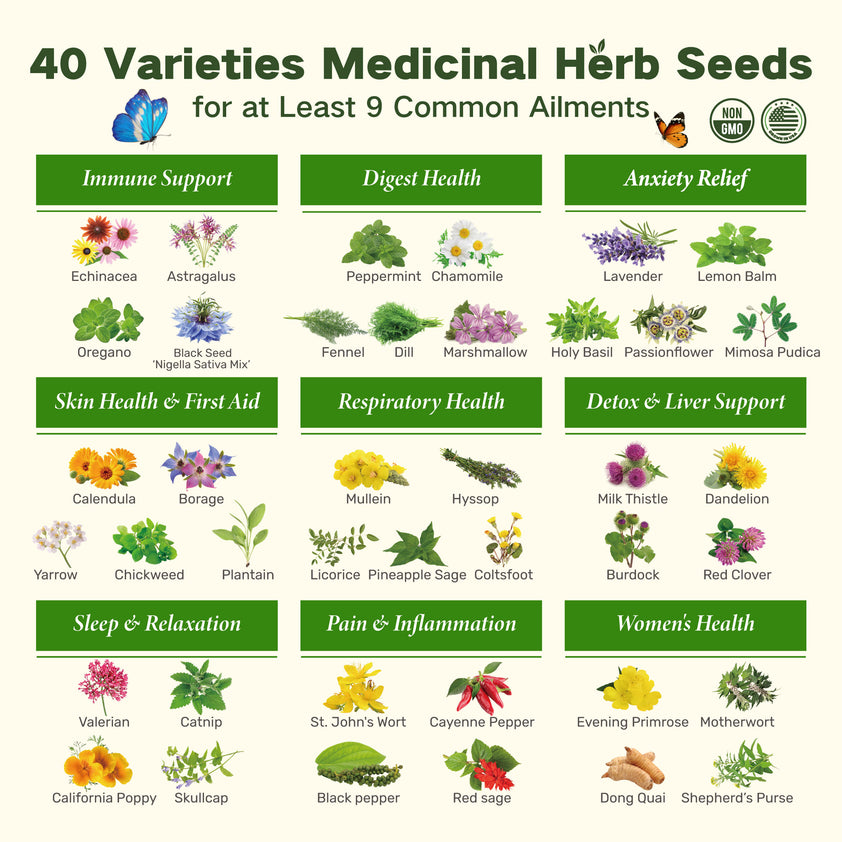 The Ancestral Apothecary Seed Chest - 40 Varieties of Medicinal Herb S ...