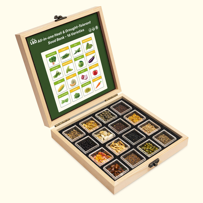 Heat & Drought-Tolerant Seed Bank With Seed Storage Box | LUSH & DEW