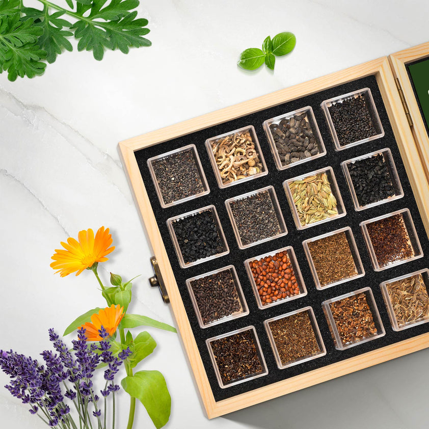 Insect & Bug Repellent Seed Bank With Seed Storage Box | LUSH & DEW