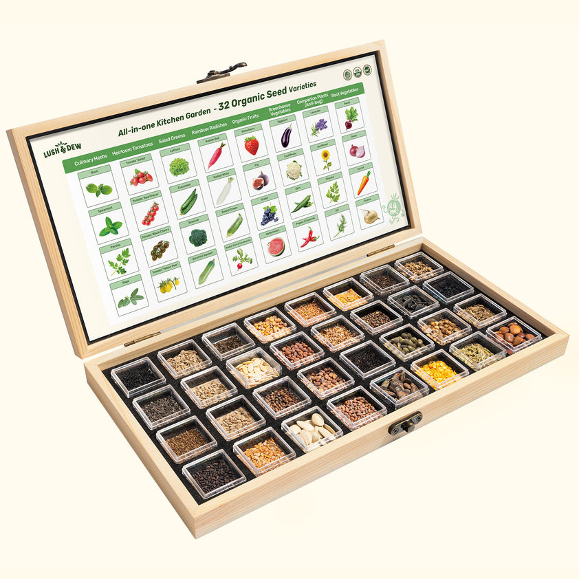 All-in-One Kitchen Garden Seed Bank with Seed Storage Box | LUSH & DEW
