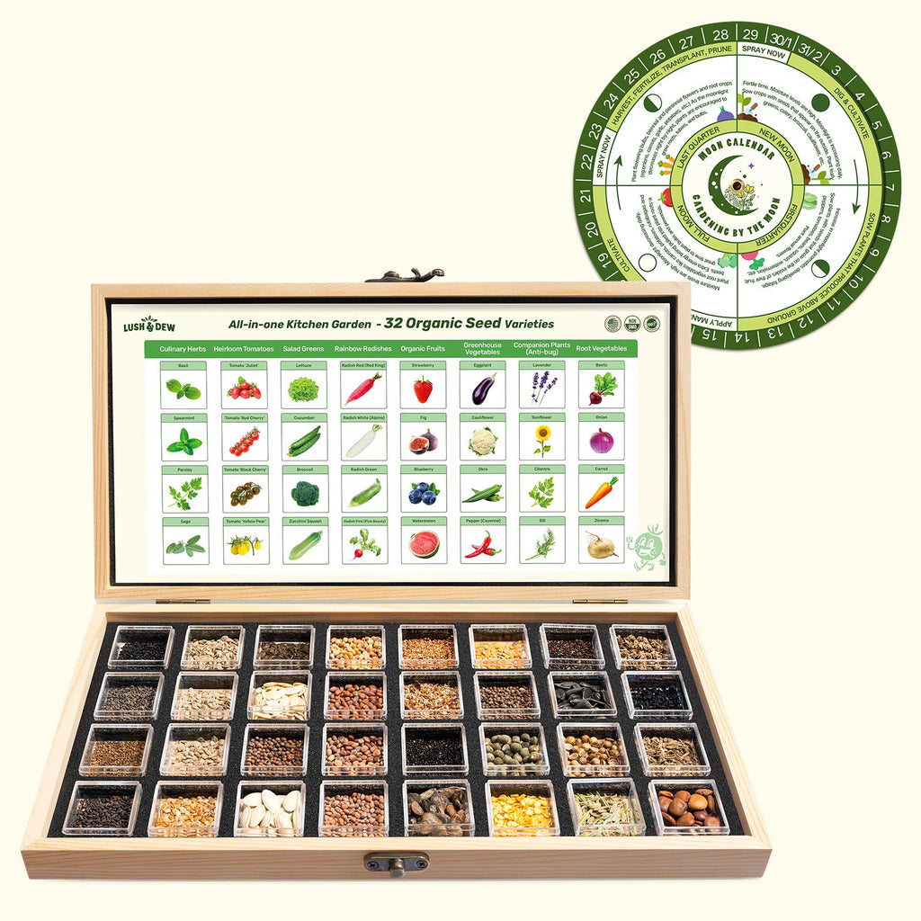 All-in-One Kitchen Garden Seed Bank with Seed Storage Box | LUSH & DEW