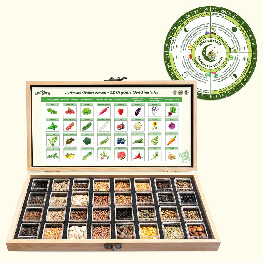 All-in-One Kitchen Garden Seed Bank with Seed Storage Box | LUSH & DEW