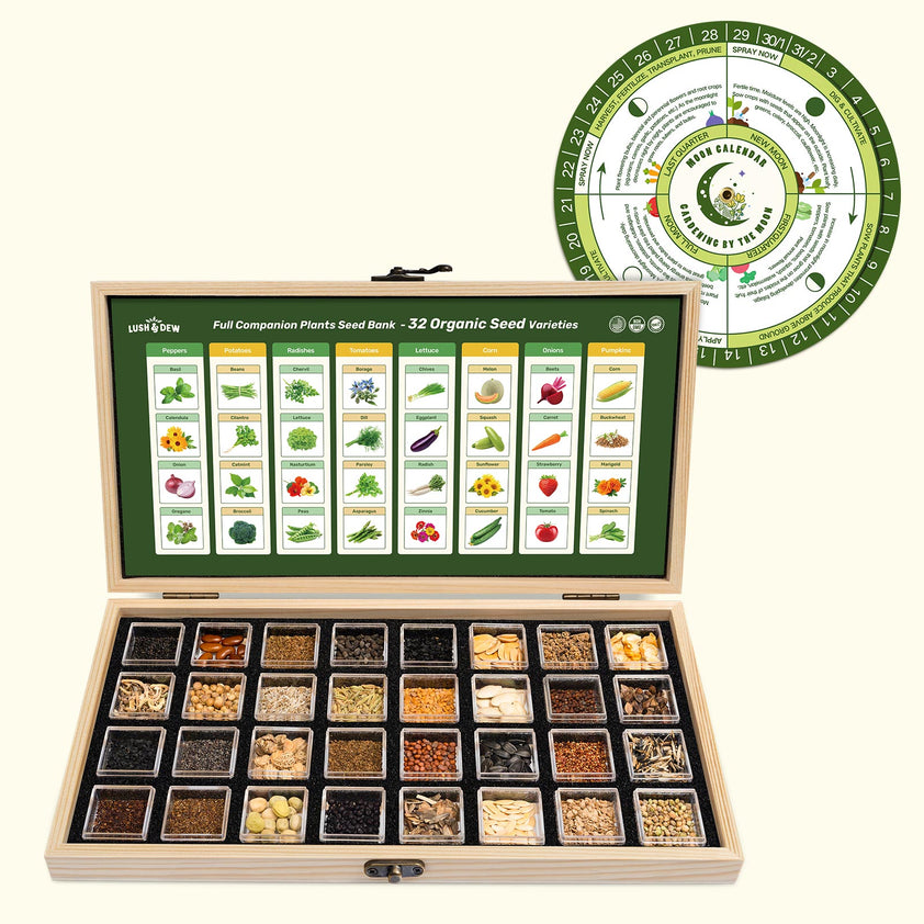 Full Companion Plants Seed Bank With Seed Storage Box | LUSH & DEW