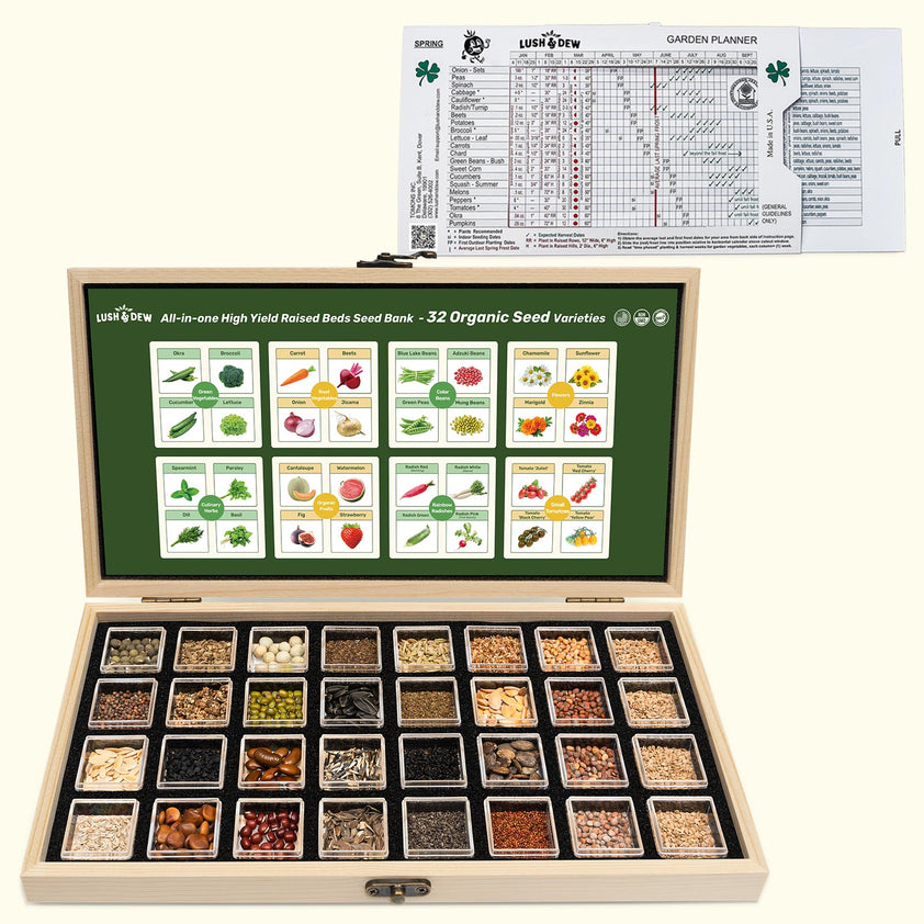 High Yield Raised Beds Seed Bank With Seed Storage Box | LUSH & DEW