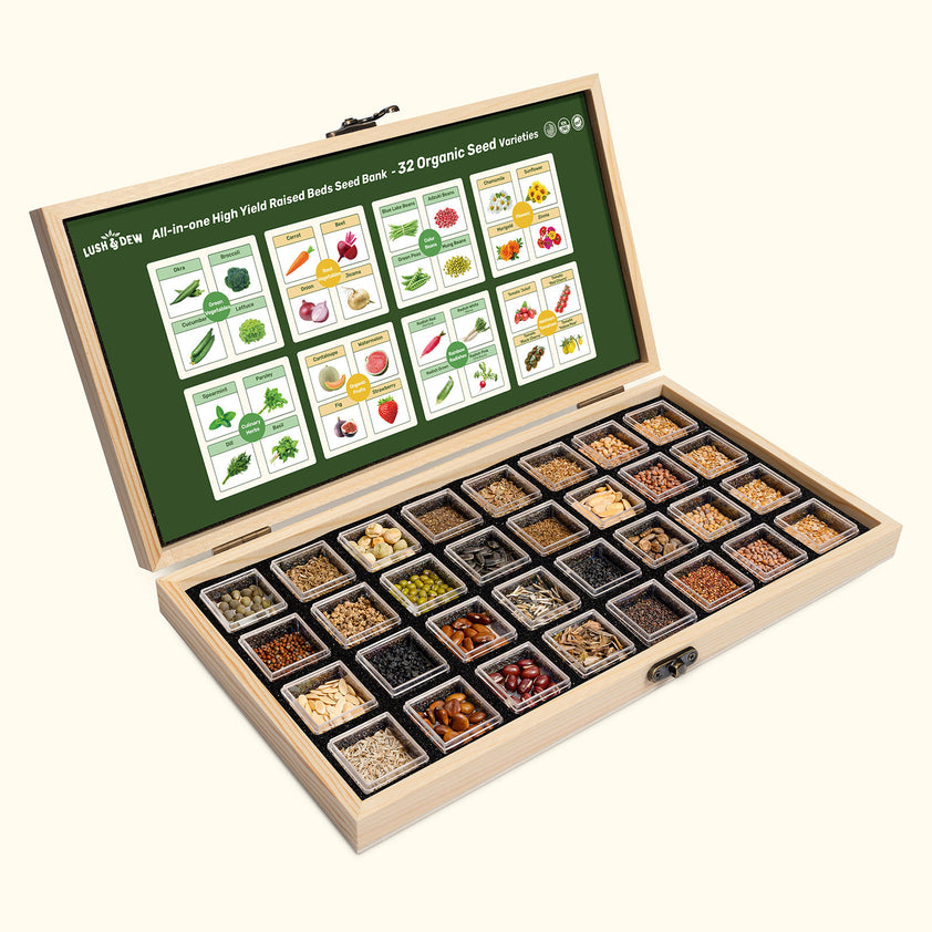 High Yield Raised Beds Seed Bank With Seed Storage Box | LUSH & DEW