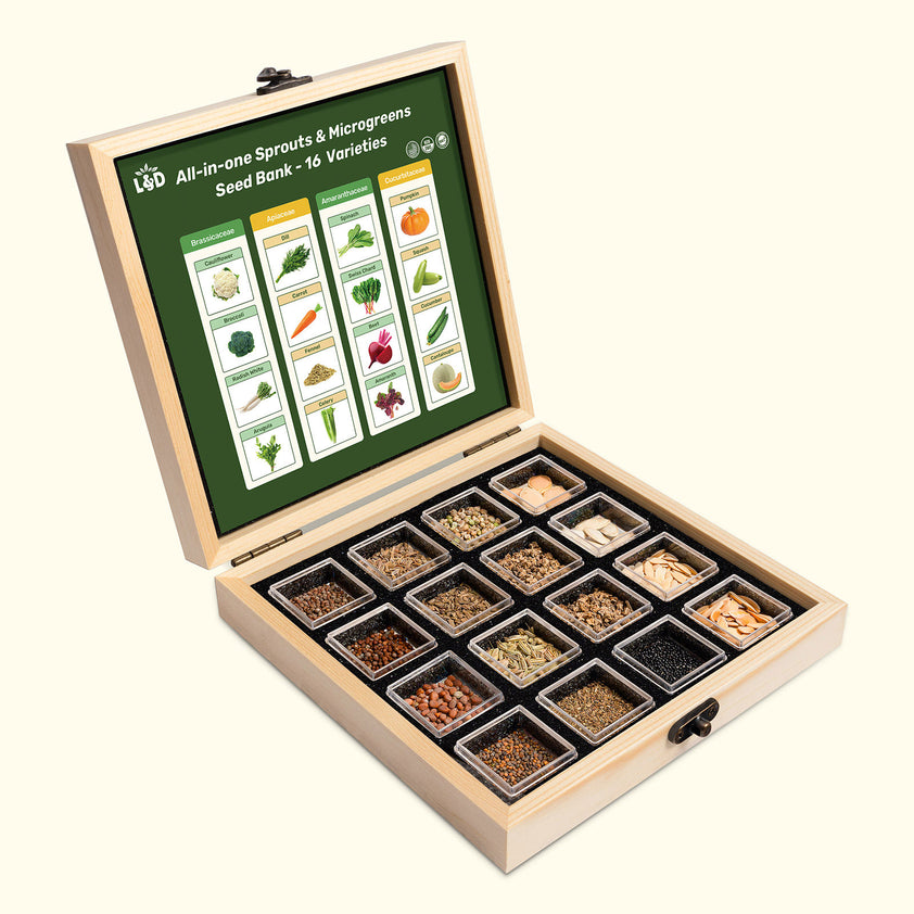 Sprouts & Microgreens Seed Bank With Seed Storage Box | LUSH & DEW
