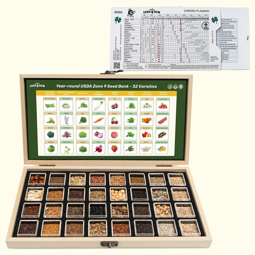 Year-Round USDA Zone 9 Seed Bank With Seed Storage Box | LUSH & DEW