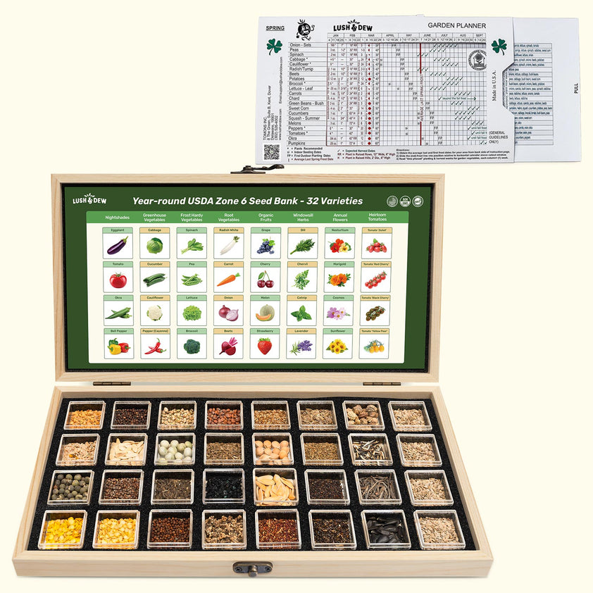 Year-Round USDA Zone 6 Seed Bank With Seed Storage Box | LUSH & DEW
