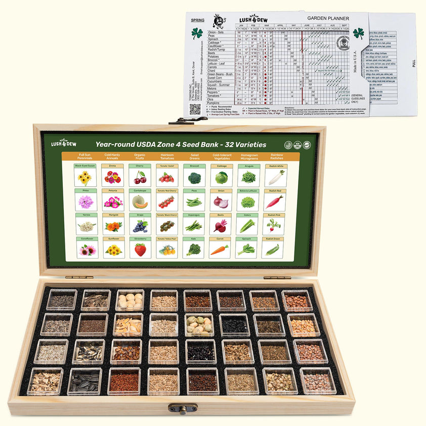 Year-Round USDA Zone 4 Seed Bank With Seed Storage Box | LUSH & DEW