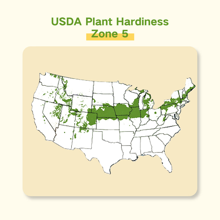 Year-Round USDA Zone 5 Seed Bank With Seed Storage Box | LUSH & DEW