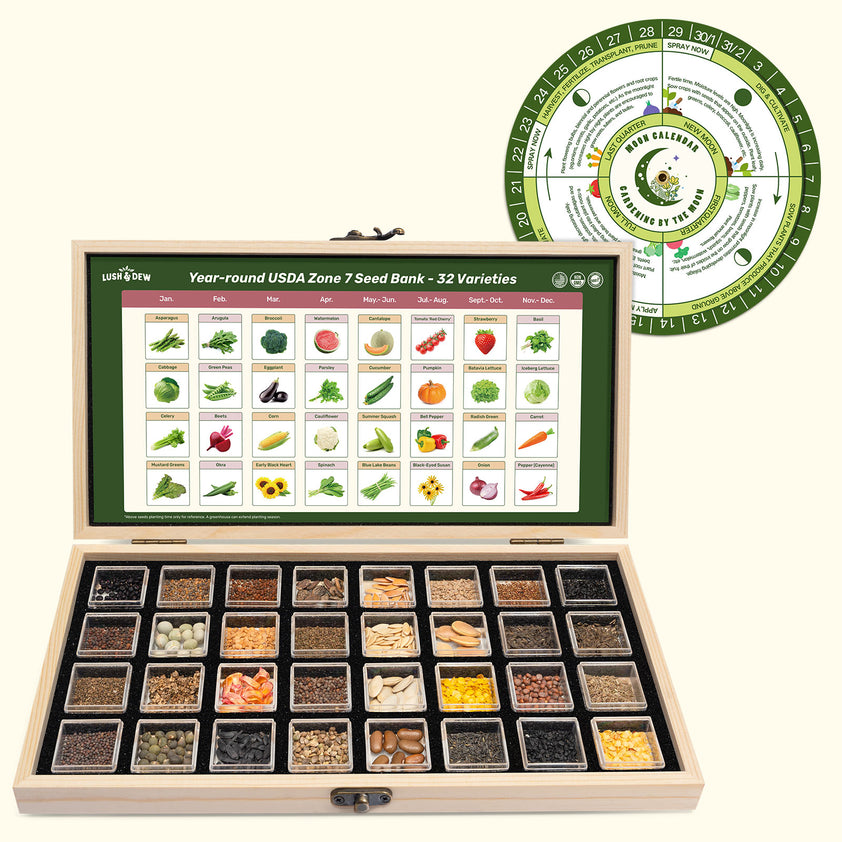 Year-Round USDA Zone 7 Seed Bank With Seed Storage Box | LUSH & DEW