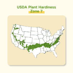 Year-Round USDA Zone 7 Seed Bank With Seed Storage Box | LUSH & DEW