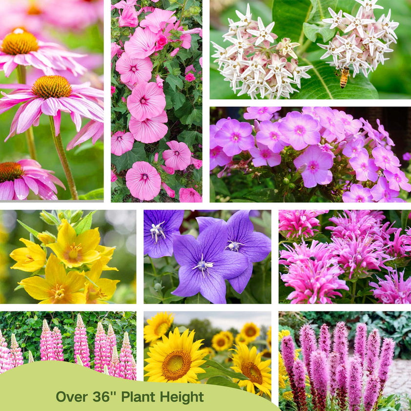 Perennial Flower Wheel - Pollinator Garden Guide | LUSH & DEW