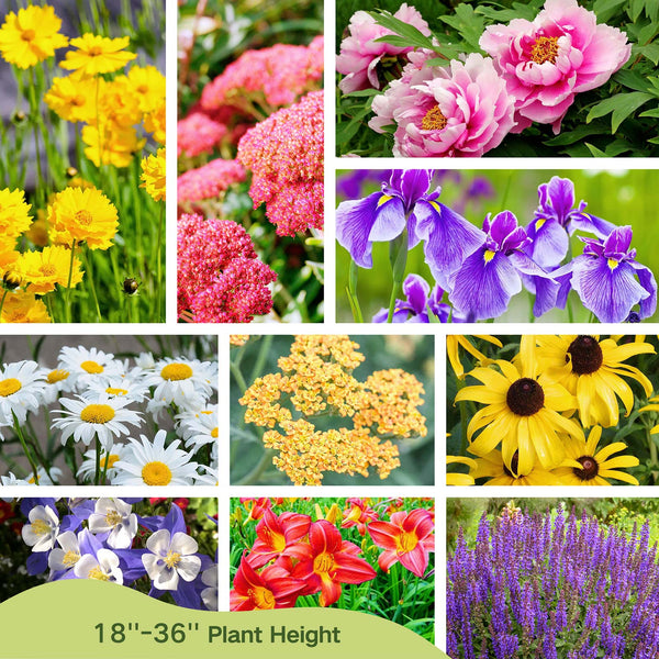Perennial Flower Wheel - Pollinator Garden Guide | LUSH & DEW
