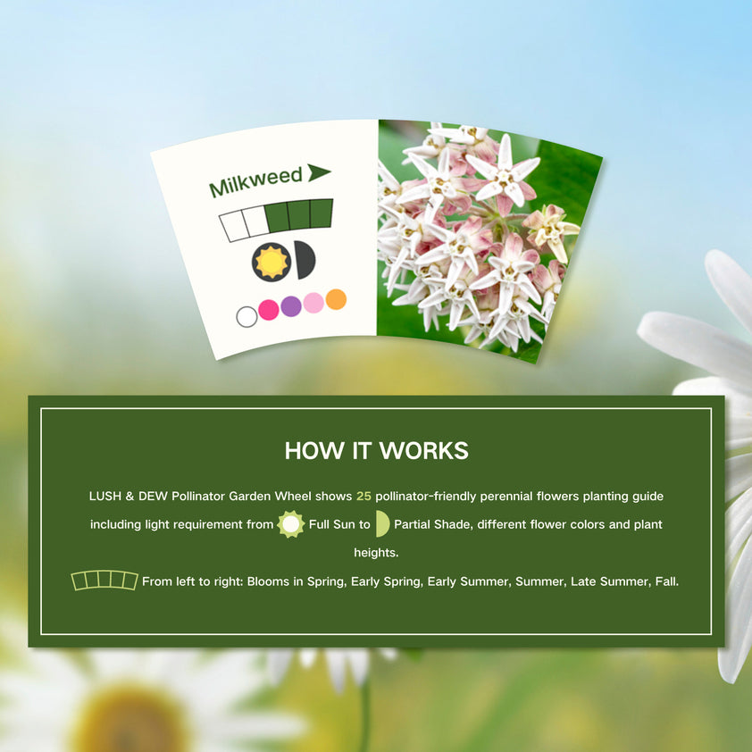 Perennial Flower Wheel - Pollinator Garden Guide | LUSH & DEW