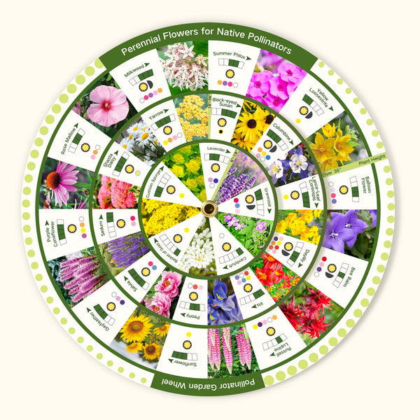 Perennial Flower Wheel - Pollinator Garden Guide | LUSH & DEW