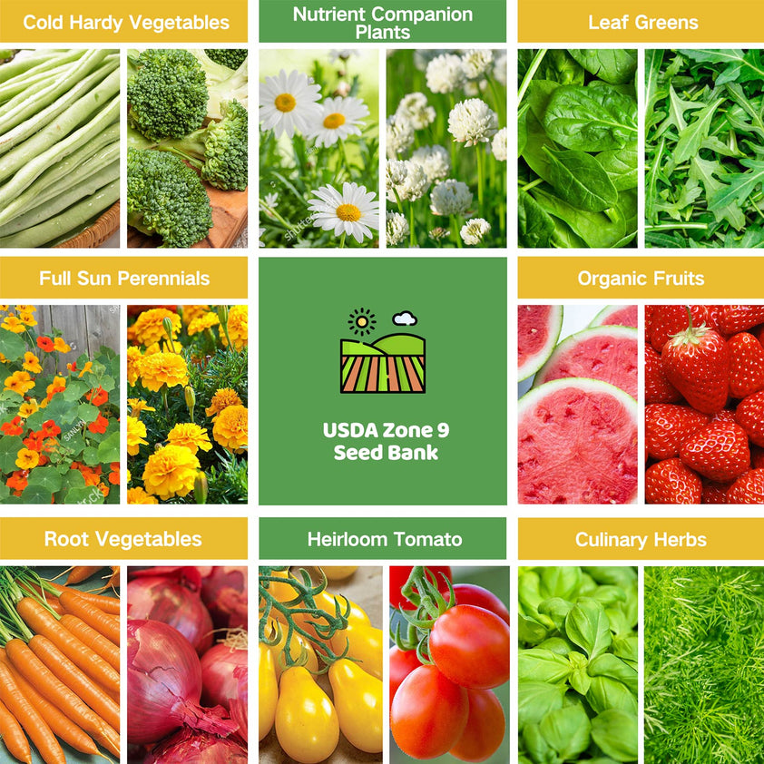 Year-Round USDA Zone 9 Seed Bank With Seed Storage Box | LUSH & DEW