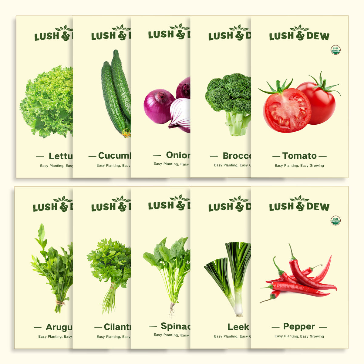 Types Of Lettuce Chart